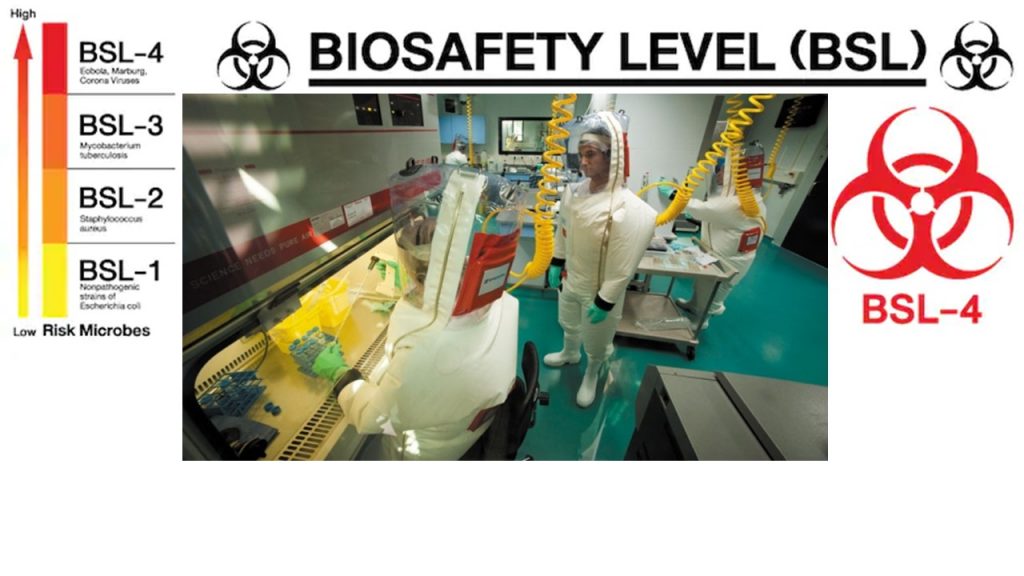 ¿Qué es el nivel de bioseguridad BSL-4? - MBZ Consultor Farma